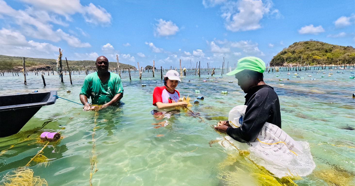 日本を海洋大国にするための第五歩：カリブ海諸国との関係から考える日本の安全保障とは～ | 松下政経塾